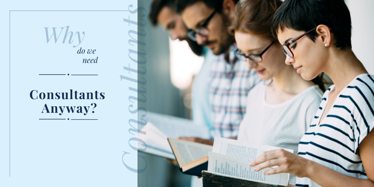 Why do we need Consultants anyway? - Briscoe Consultants Limited