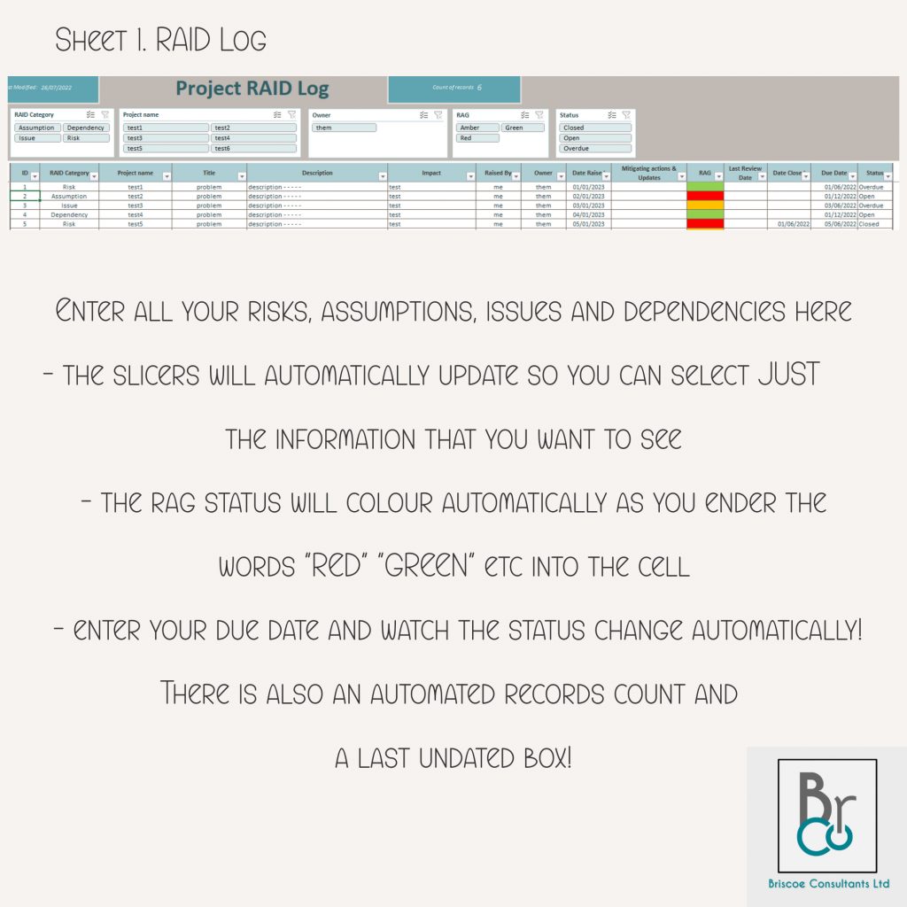 Project Management RAID Log – Briscoe Consultants Limited